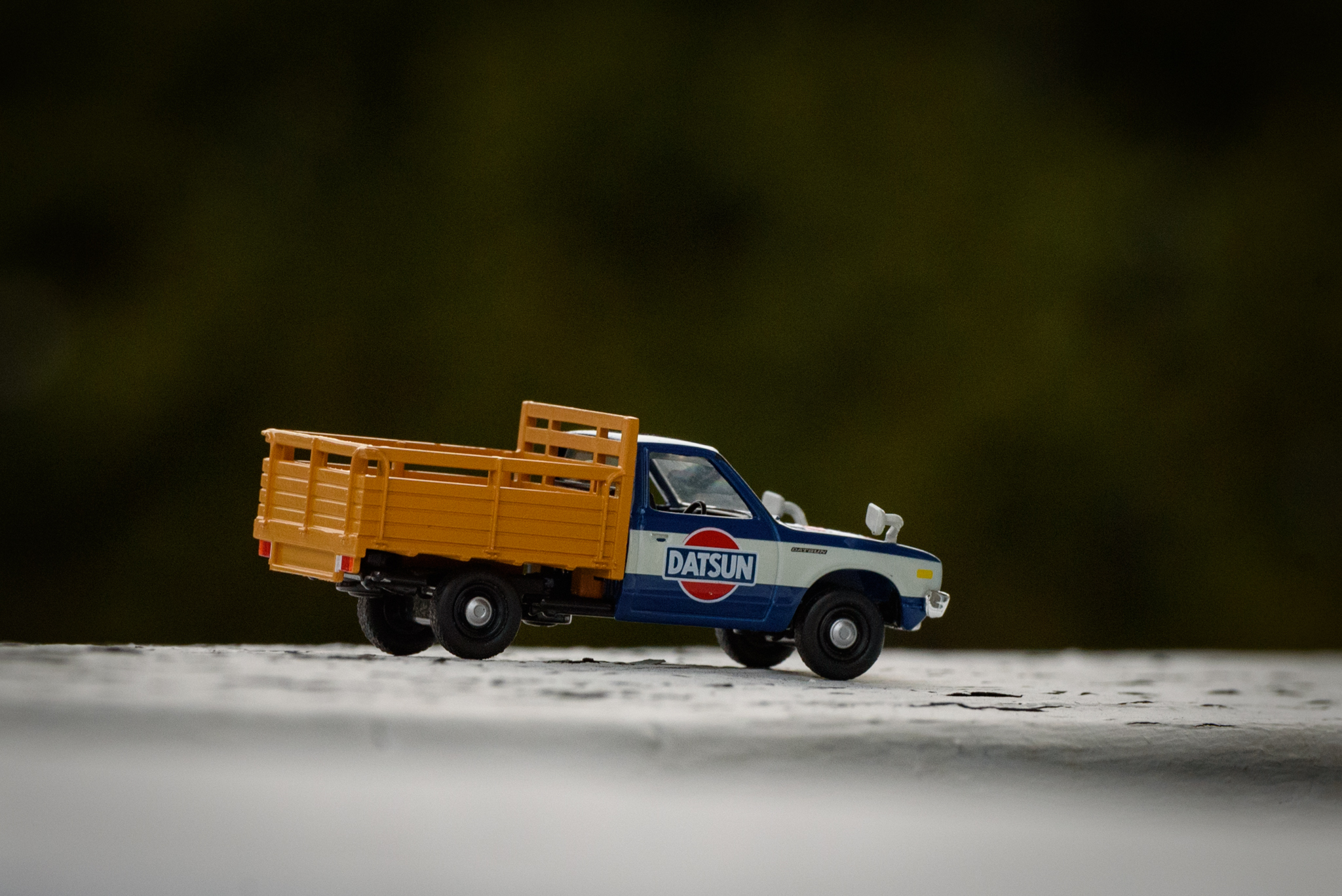 DSC_2003 – LamleyGroup