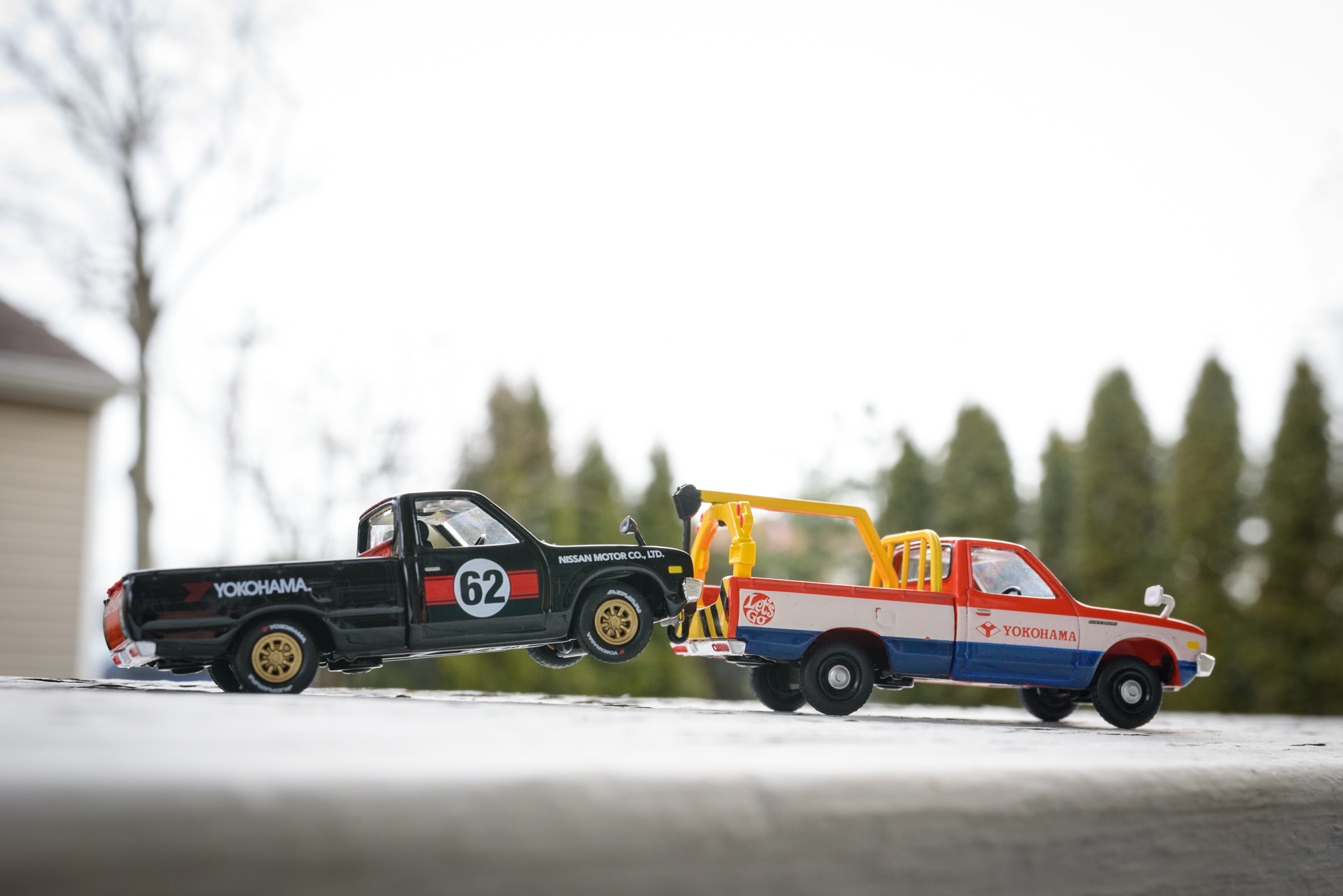 Dsc 2009 Lamleygroup