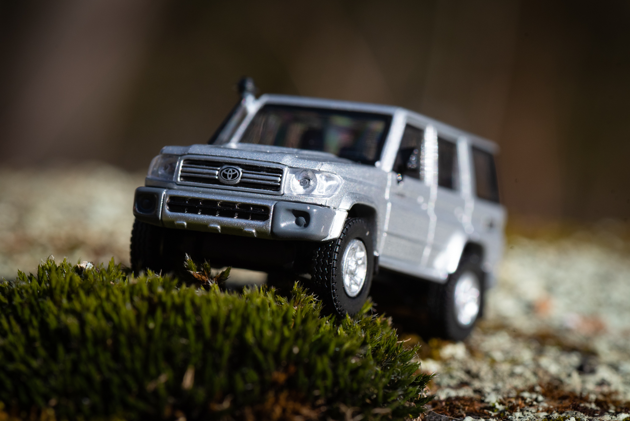 DSC_5508 – LamleyGroup