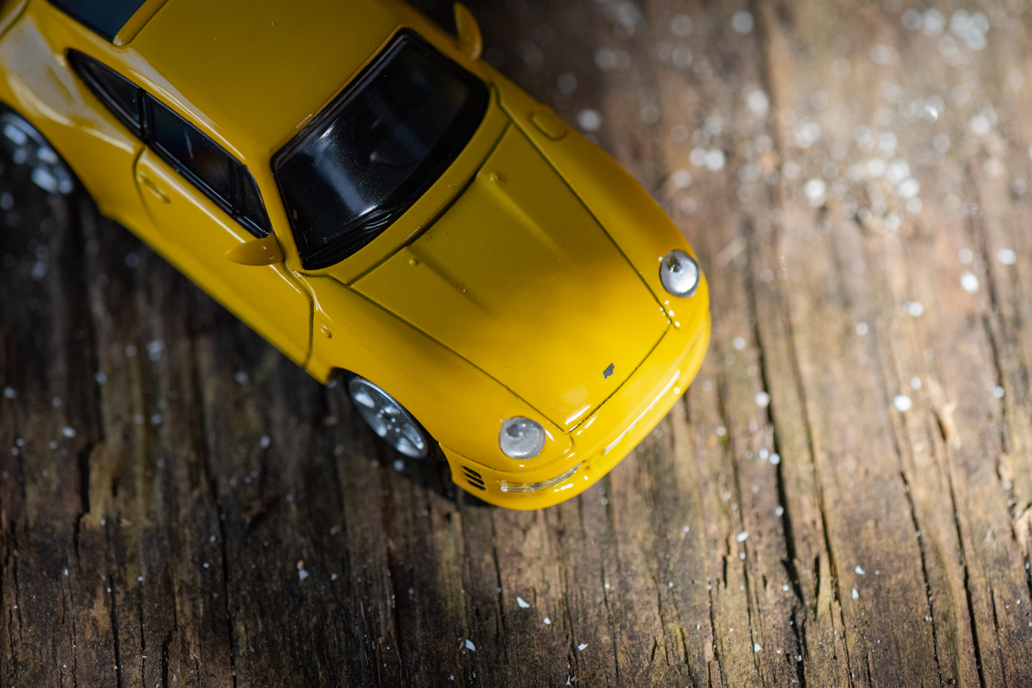 DSC_0525 – LamleyGroup