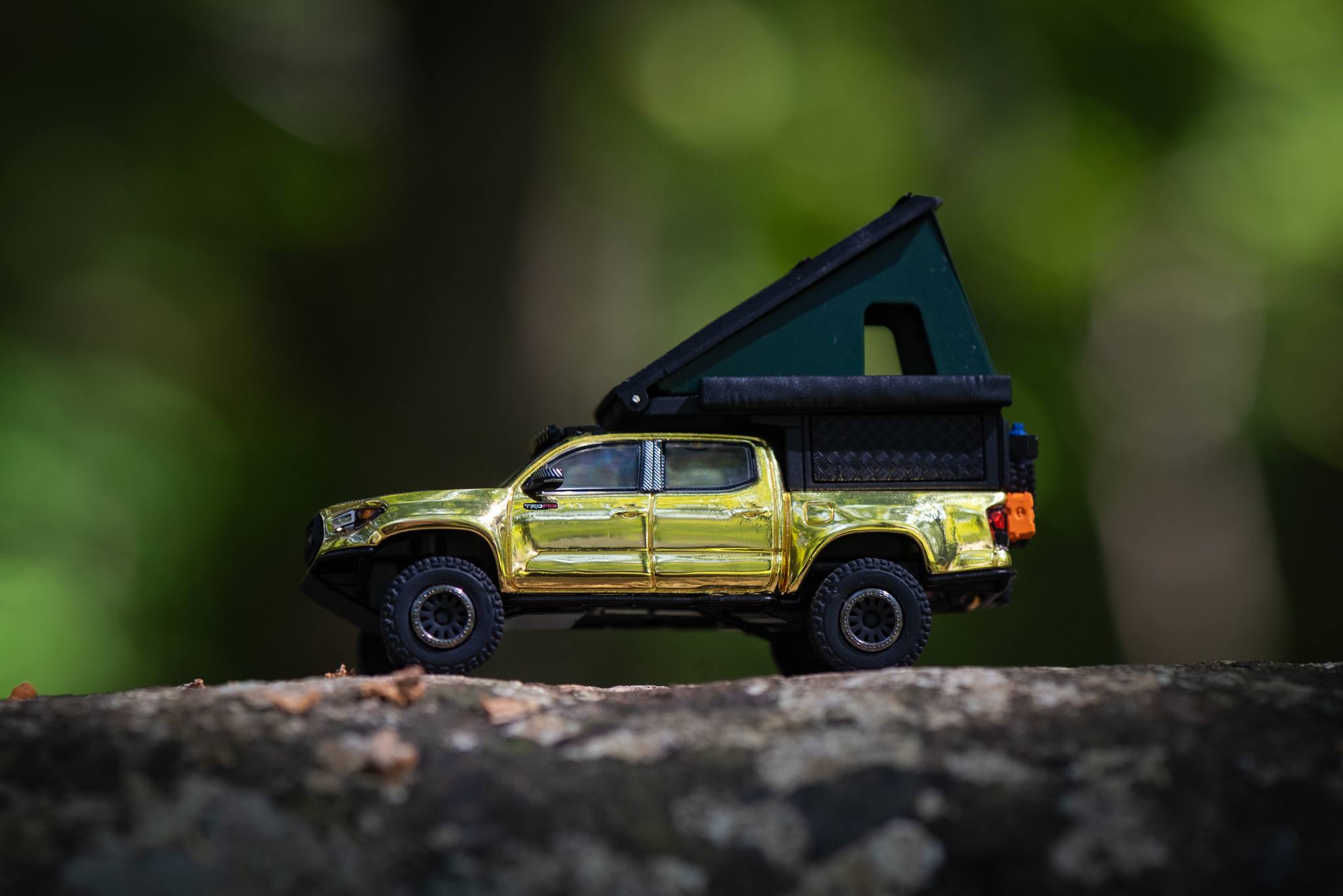 DSC_3084 – LamleyGroup