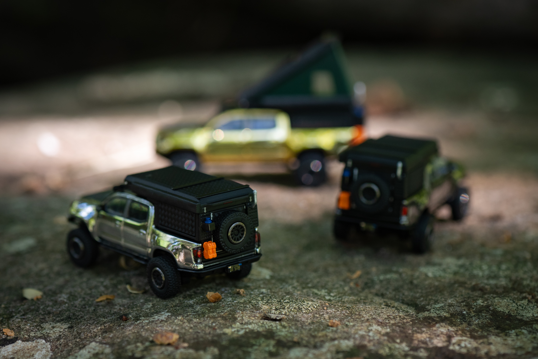 DSC_3111 – LamleyGroup