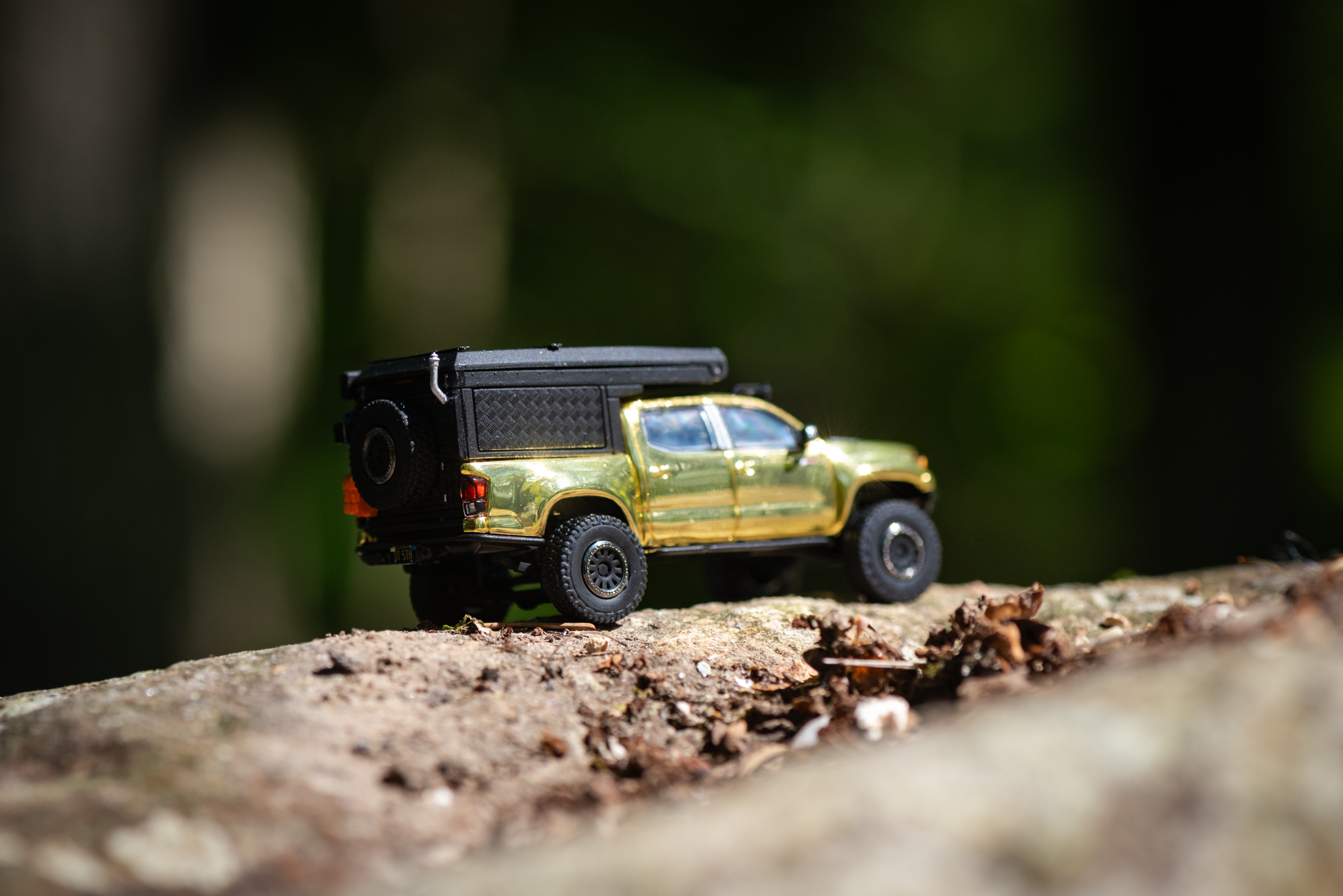 DSC_3118 – LamleyGroup