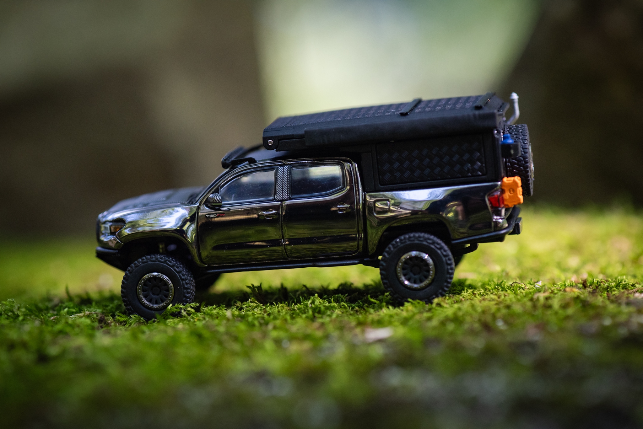 DSC_3133 – LamleyGroup