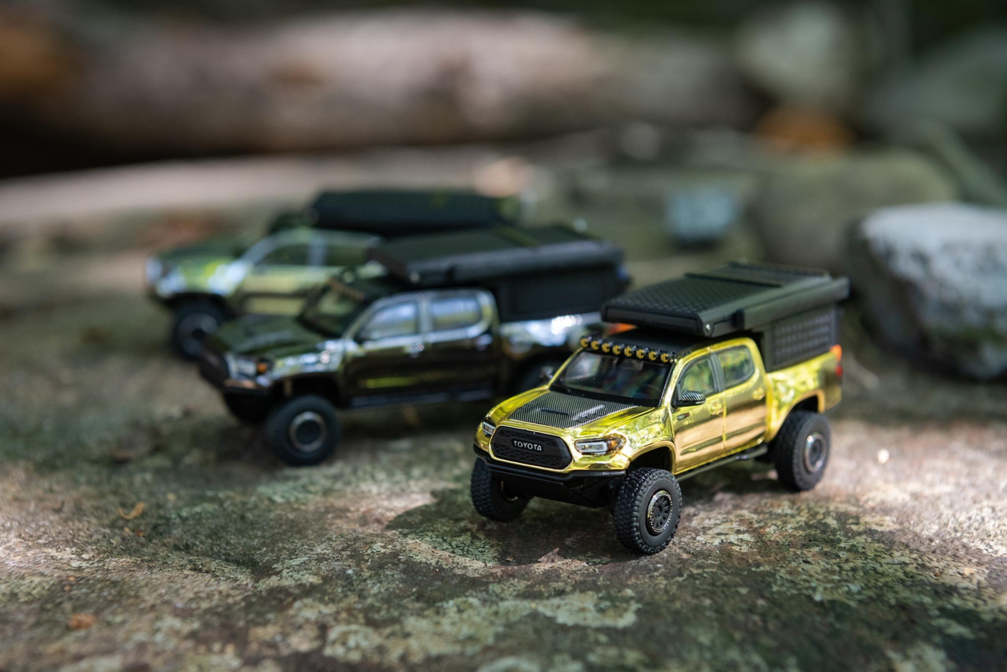 DSC_3141 – LamleyGroup