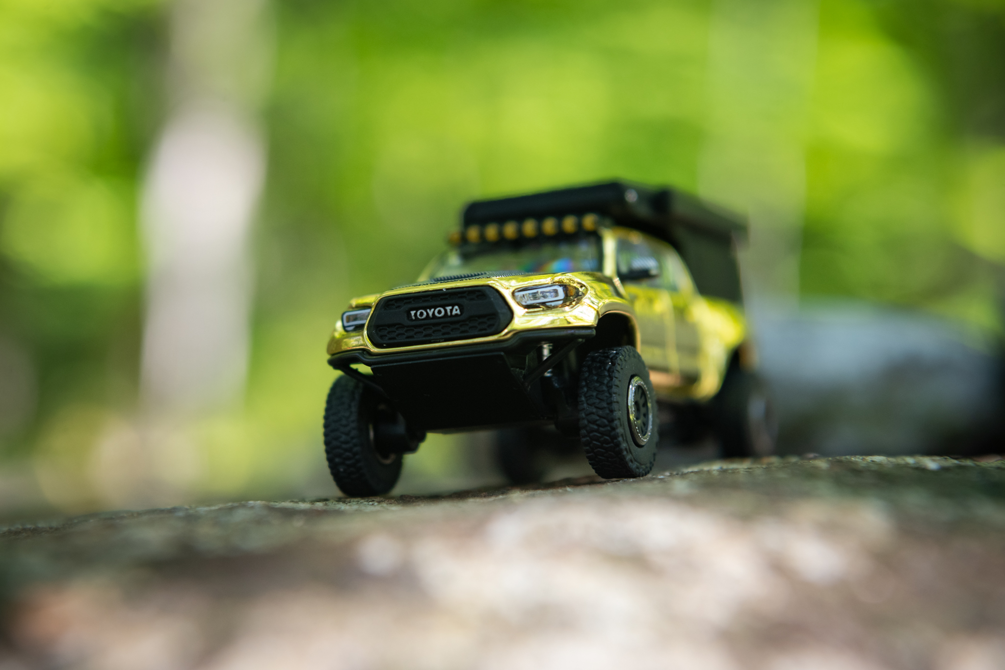 DSC_3144 – LamleyGroup