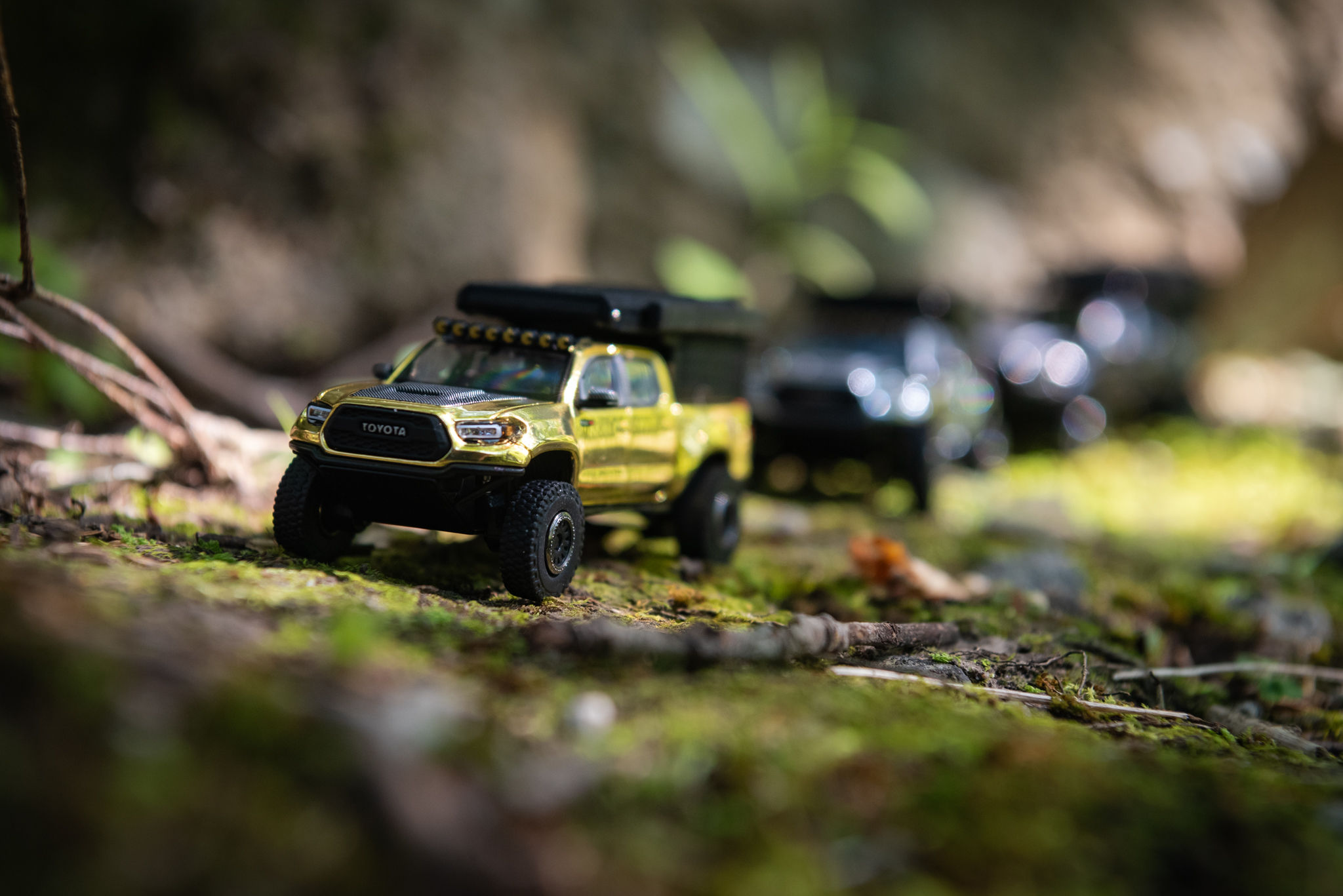 DSC_3169 – LamleyGroup