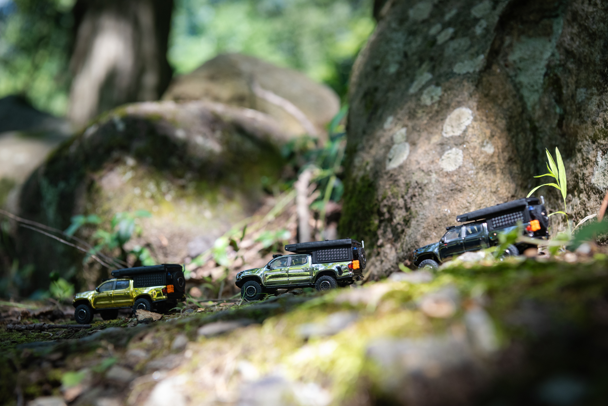 DSC_3173 – LamleyGroup