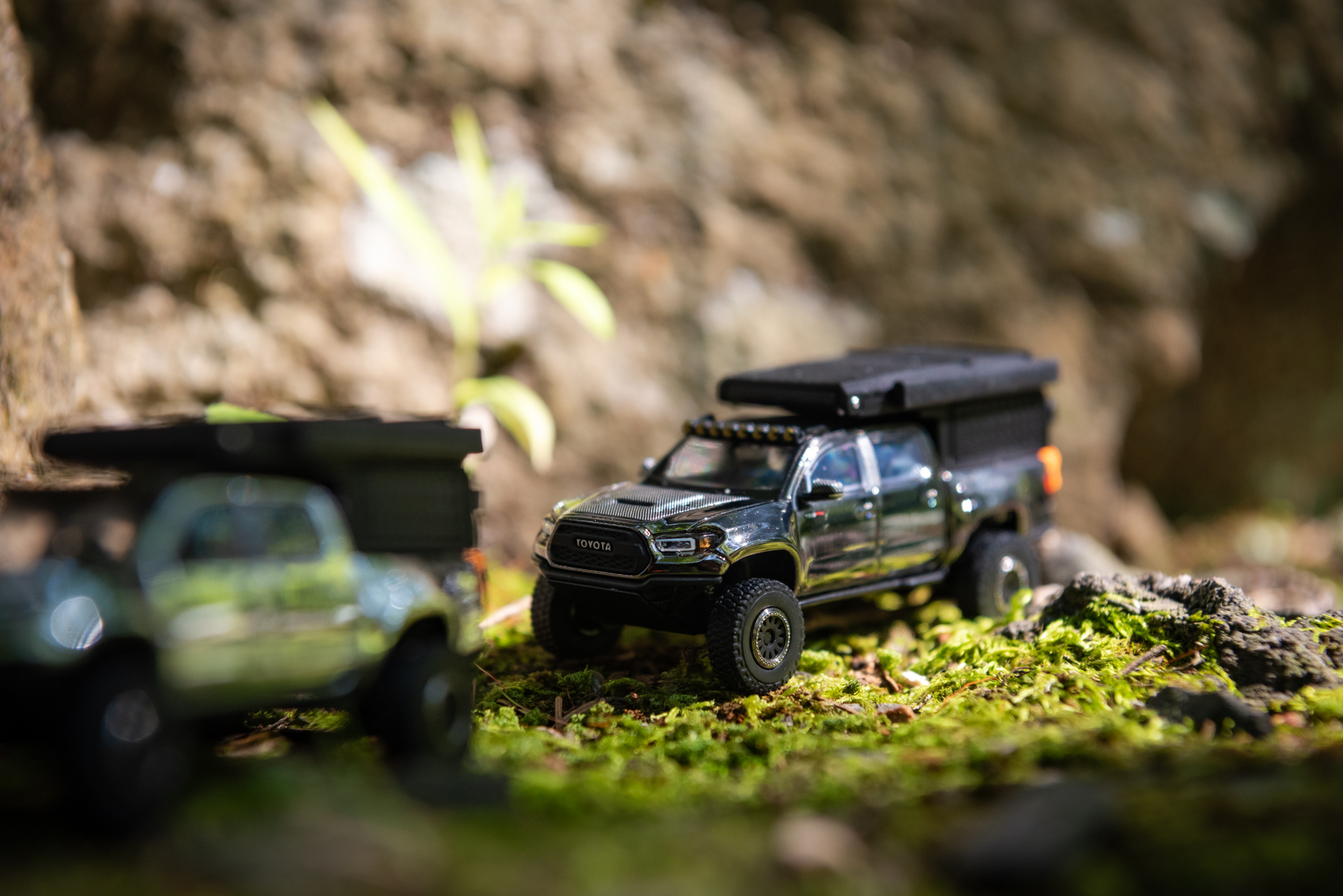 DSC_3175 – LamleyGroup