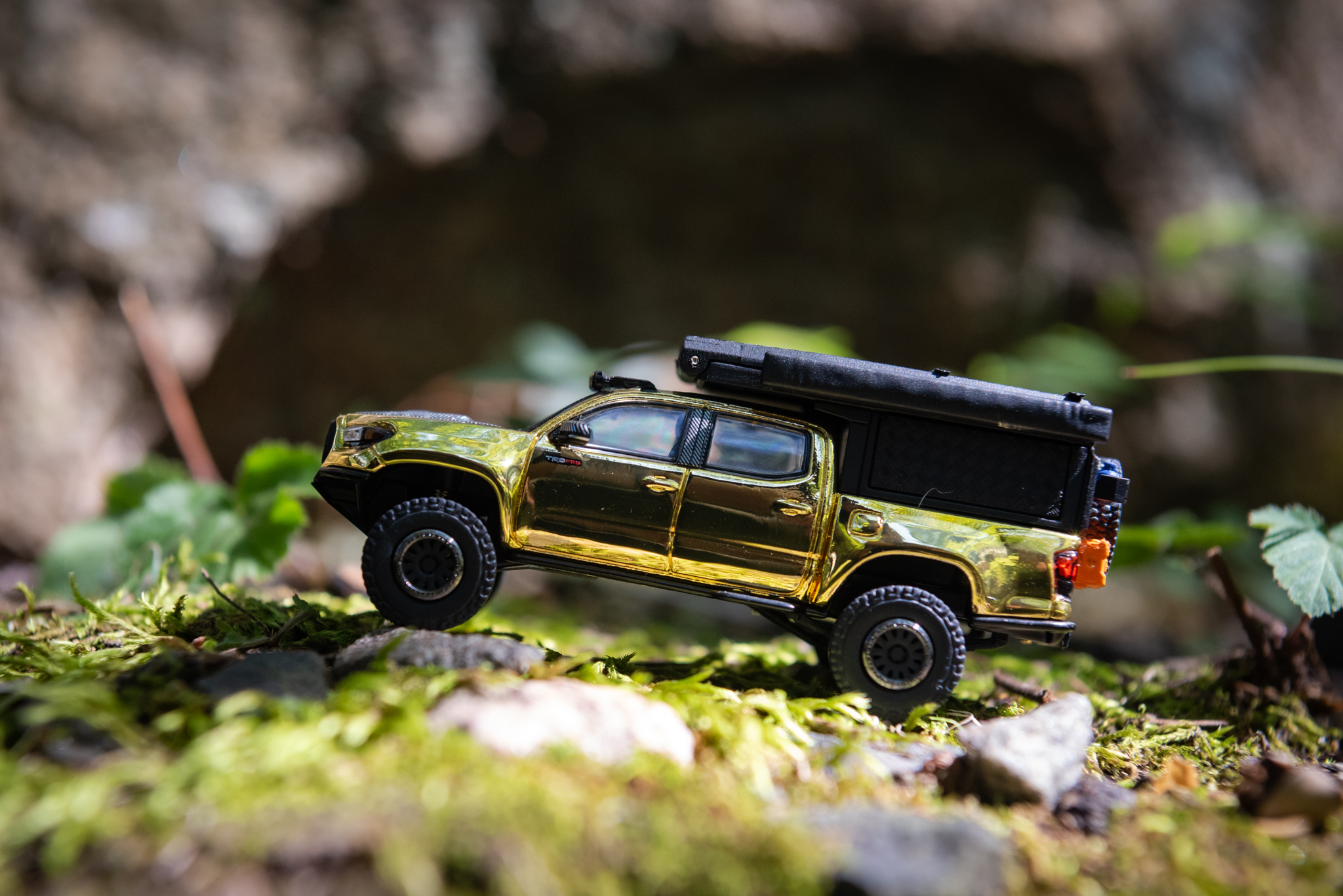 DSC_3179 – LamleyGroup