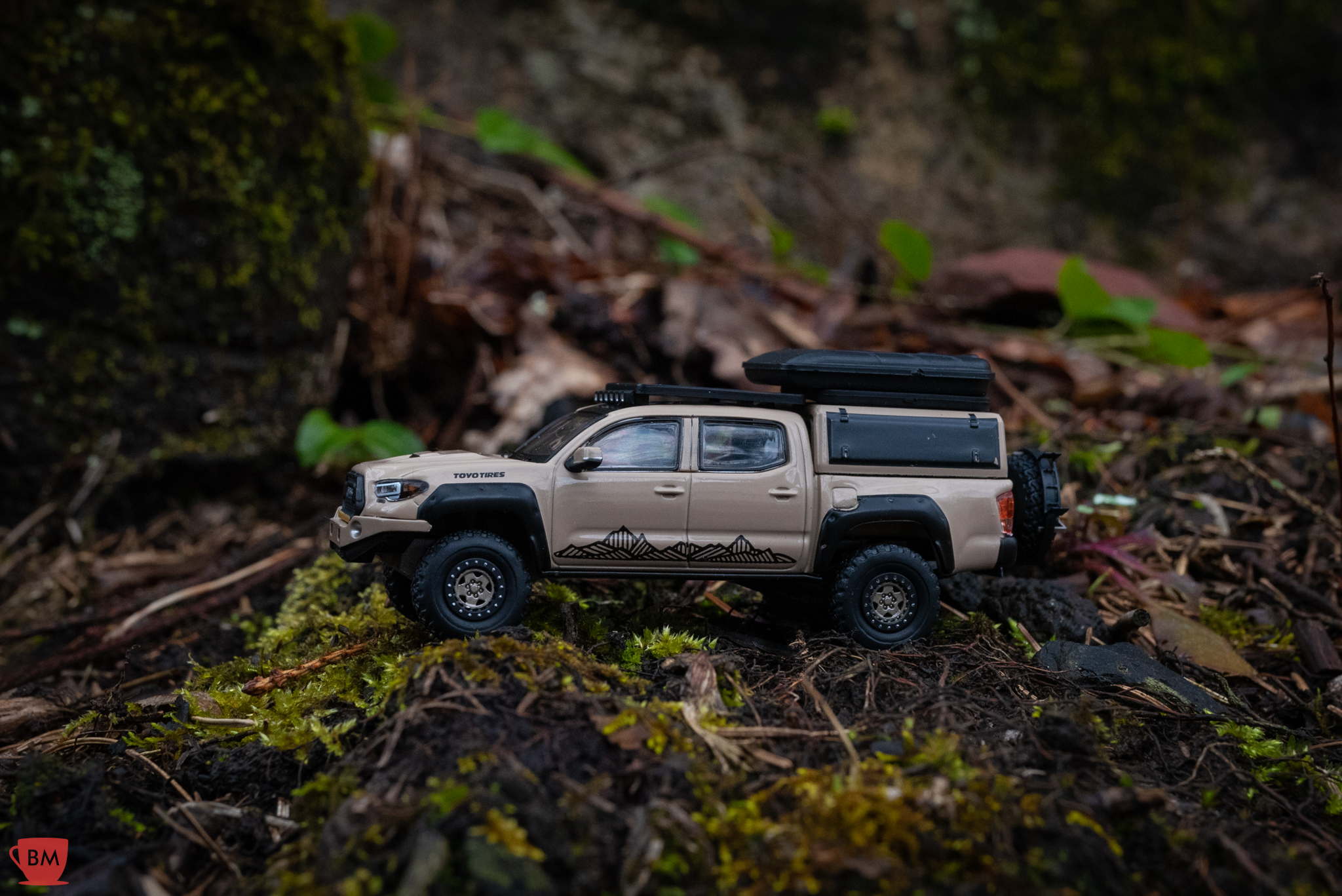 DSC_3305 – LamleyGroup