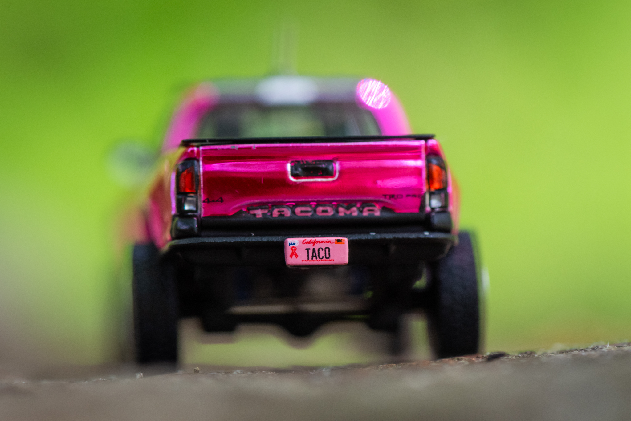 DSC_7054 – LamleyGroup