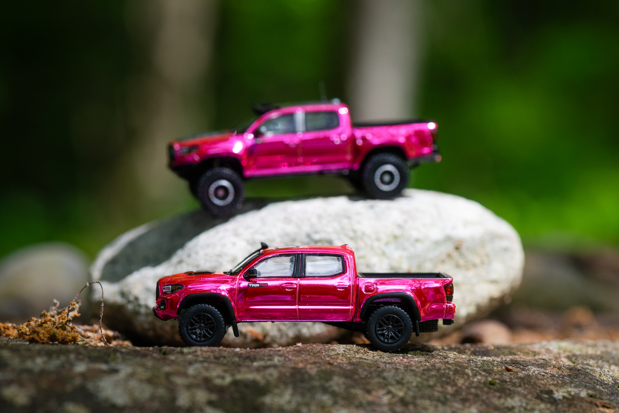 DSC_7110 – LamleyGroup