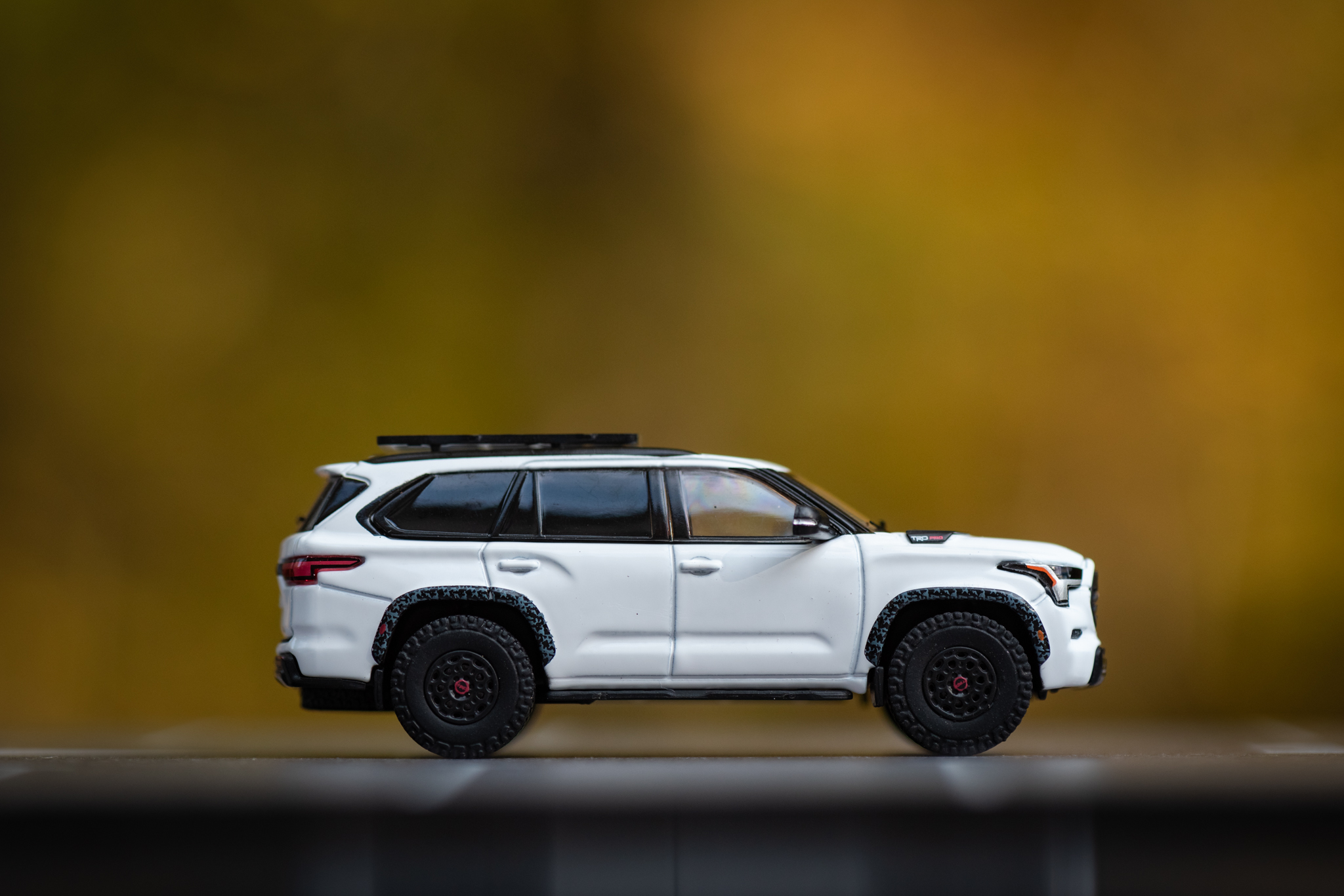 DSC_7292 – LamleyGroup