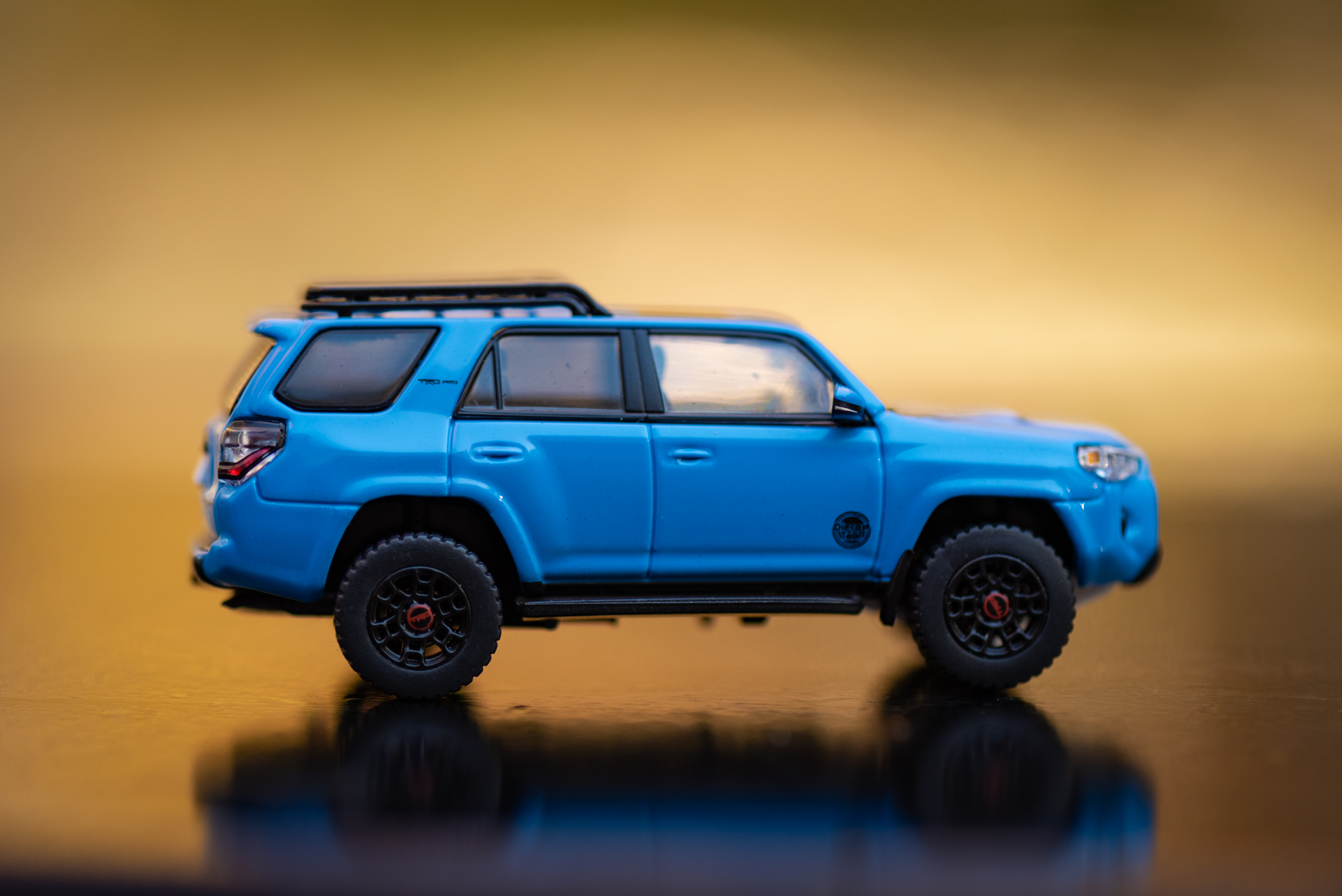 DSC_9247 – LamleyGroup